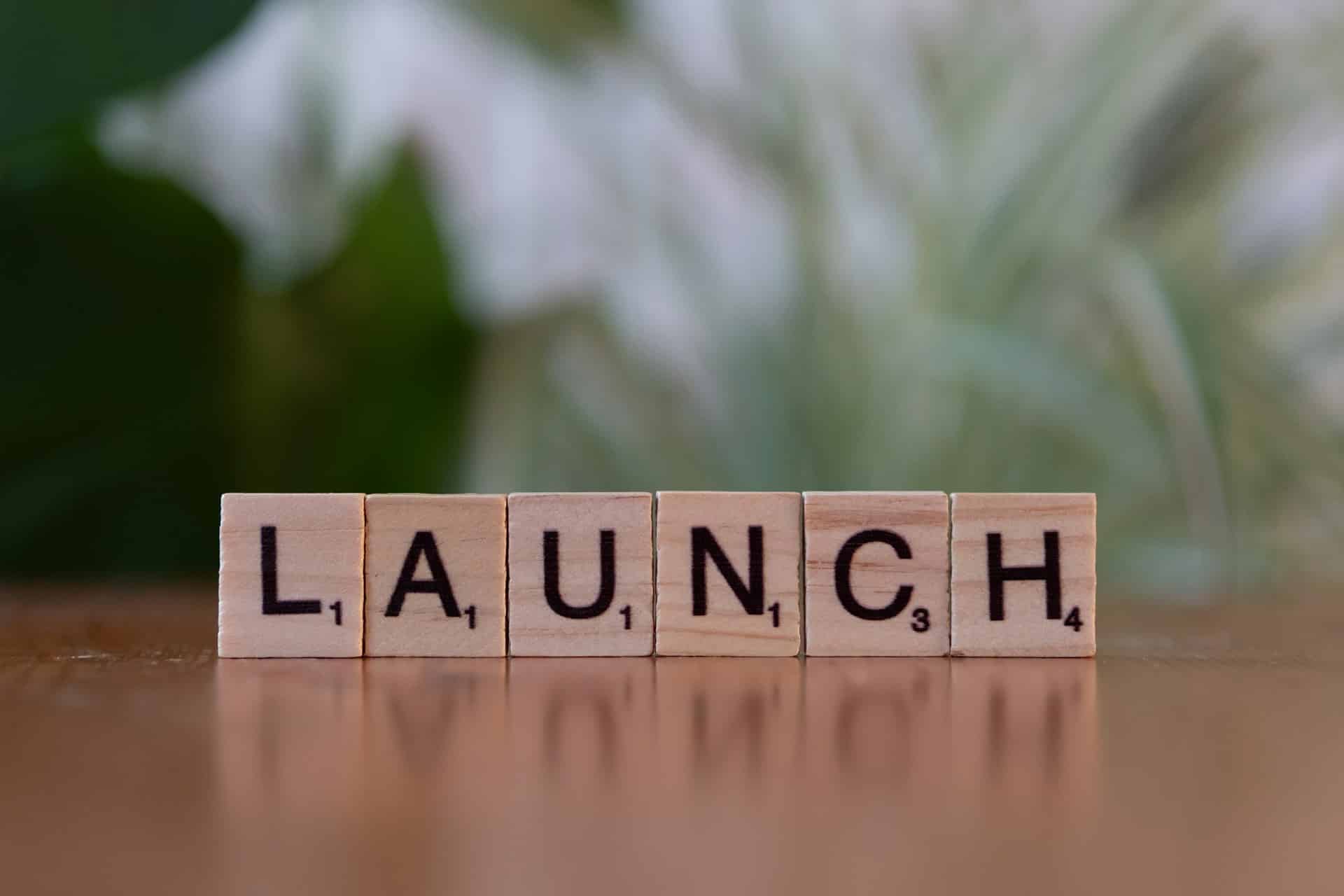 Step-by-Step Launch Plan for Failure to Launch Young Adults